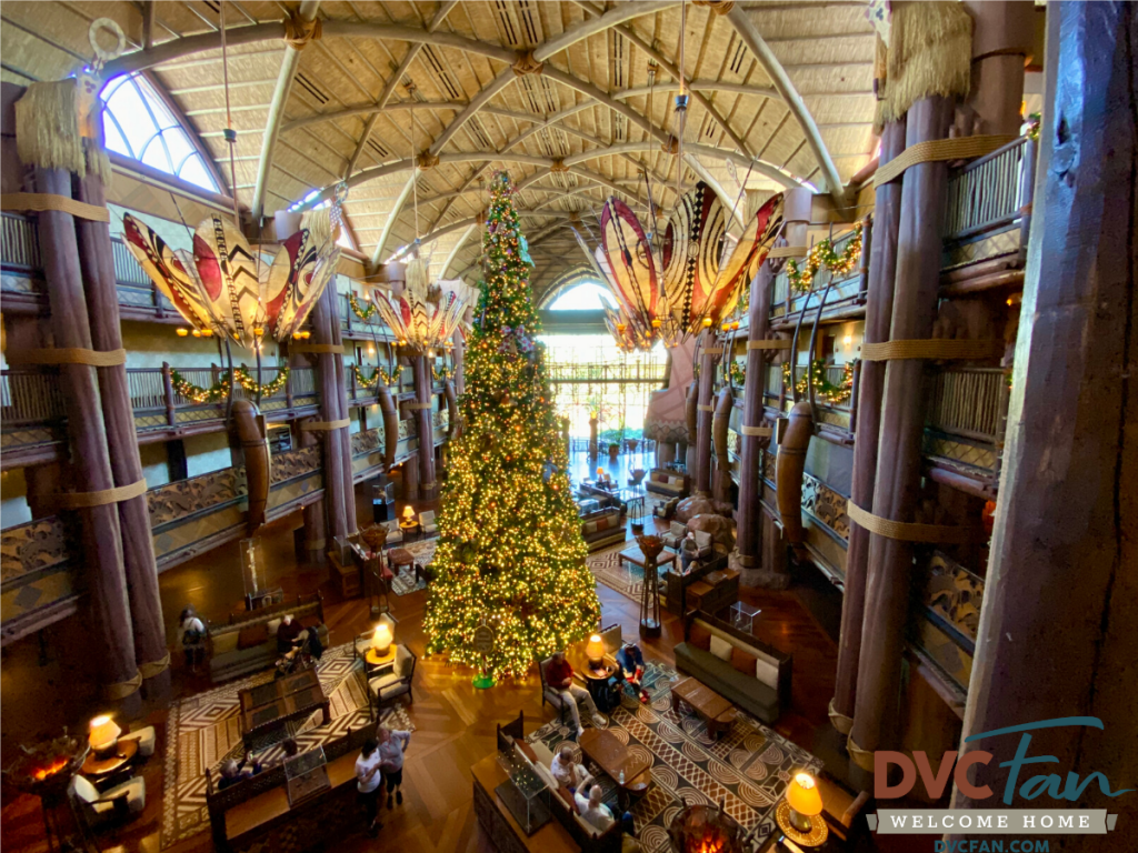 DVC Fan Weekly Wrap Up: December 18th - DVC Fan