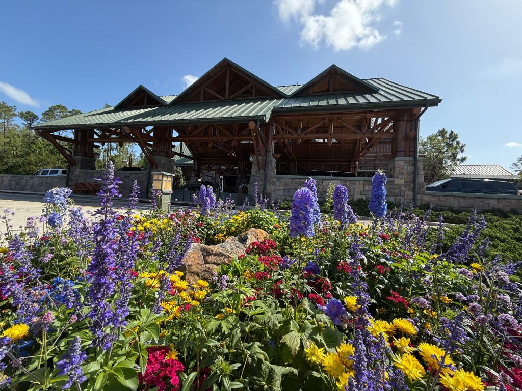 NEW Spring 2025 DVC Incentives Revealed: What Buyers Need to Know - DVC Fan