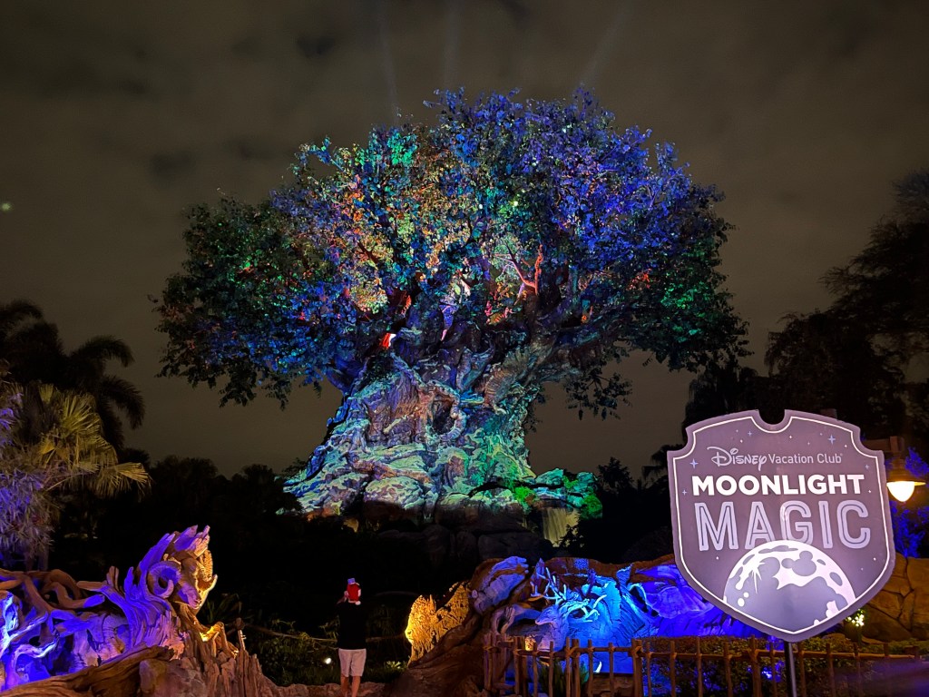 DVC Announces 2026 Moonlight Magic Dates - DVC Fan